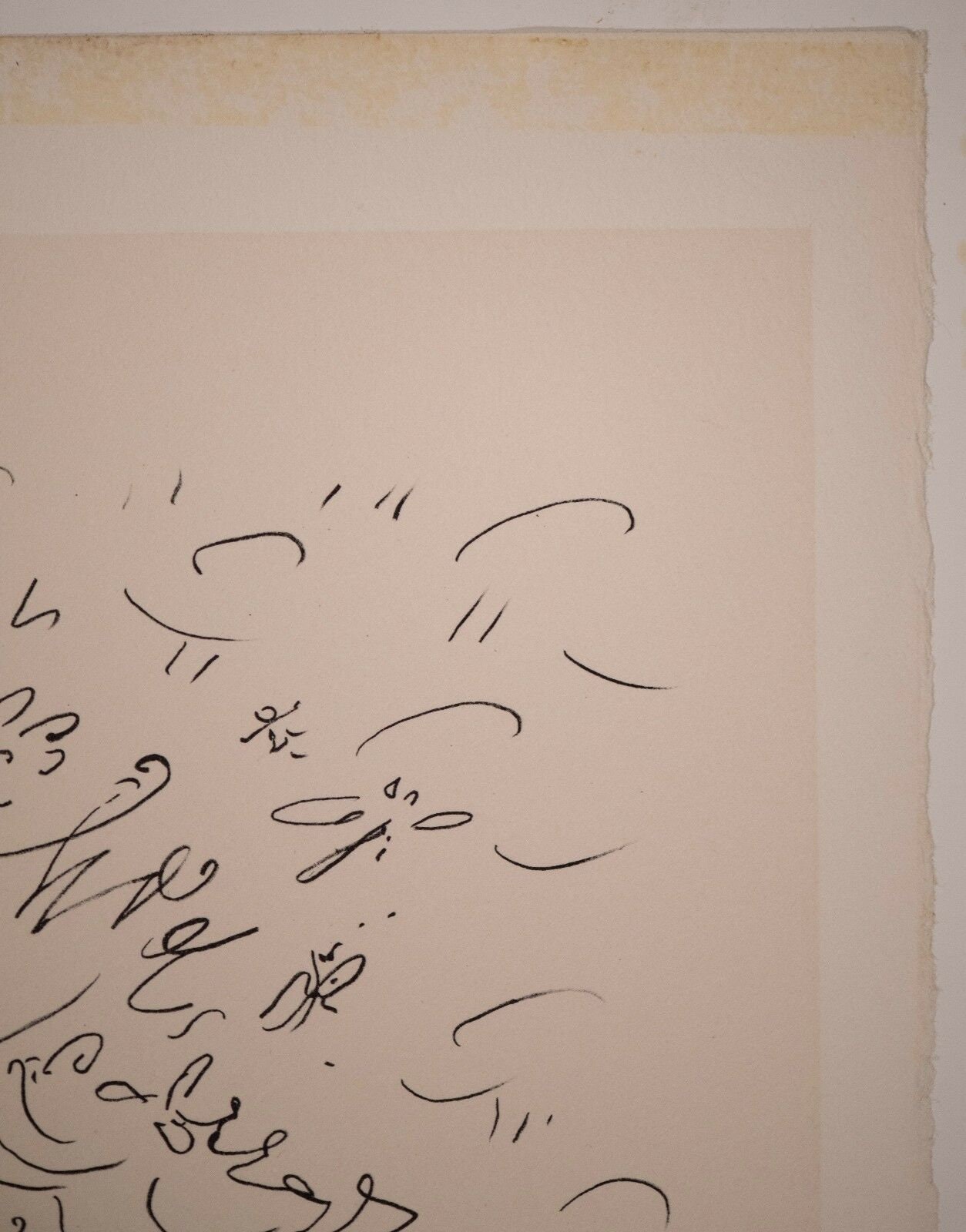 Andre Masson Limited Edition Lithograph terre | Etsy