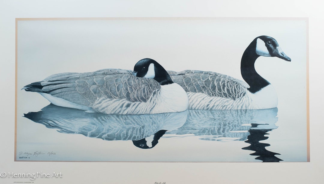 Beautiful J Wayne Bystrom Canadian Geese Vintage Litho "mates for Life ...