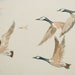 Beautiful Vintage Painting of Flying Canada Geese by Arlene Shoemaker ...