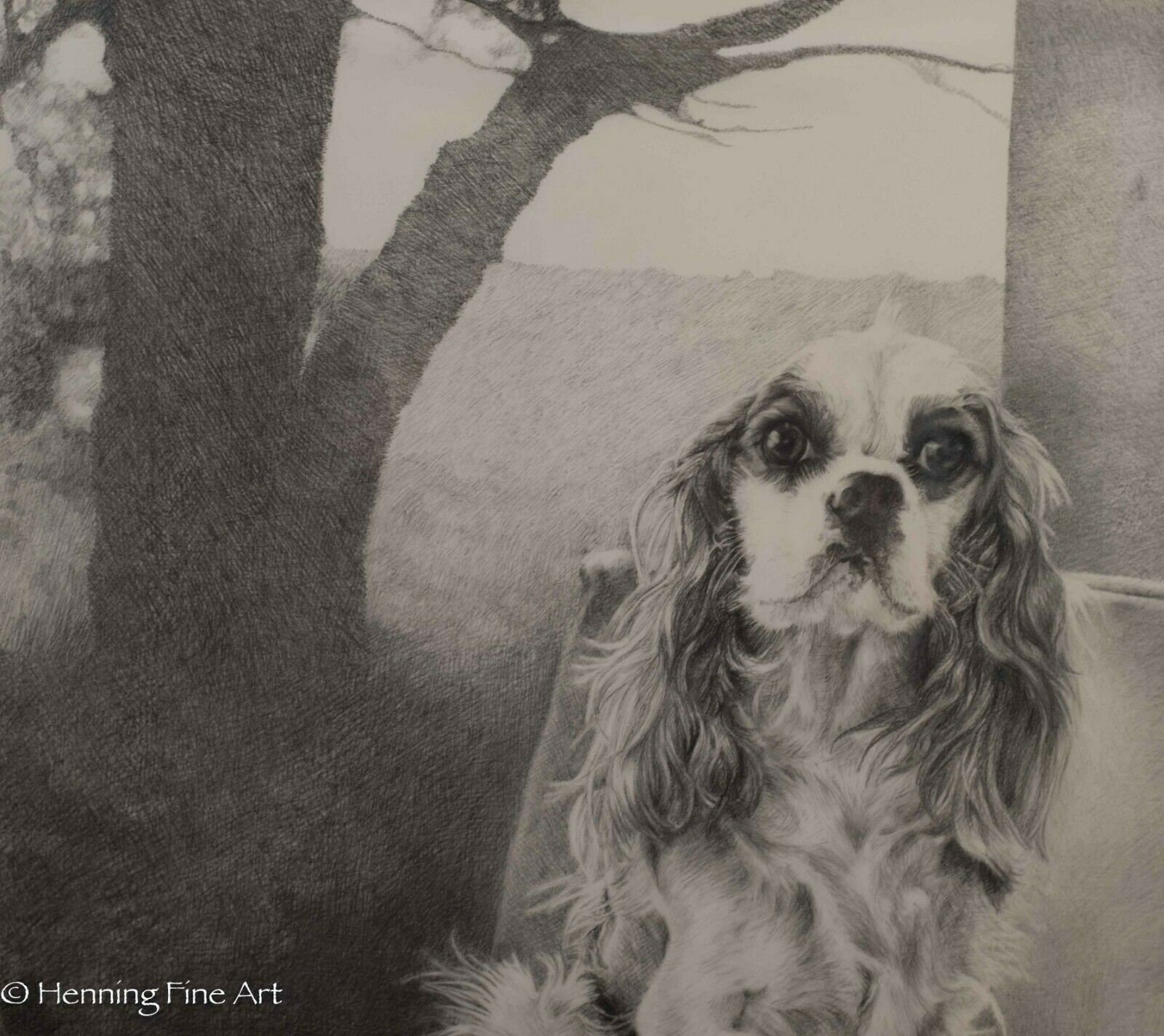 Cocker Spaniel Original Pencil Drawing, Large Beautiful, Illegibly ...