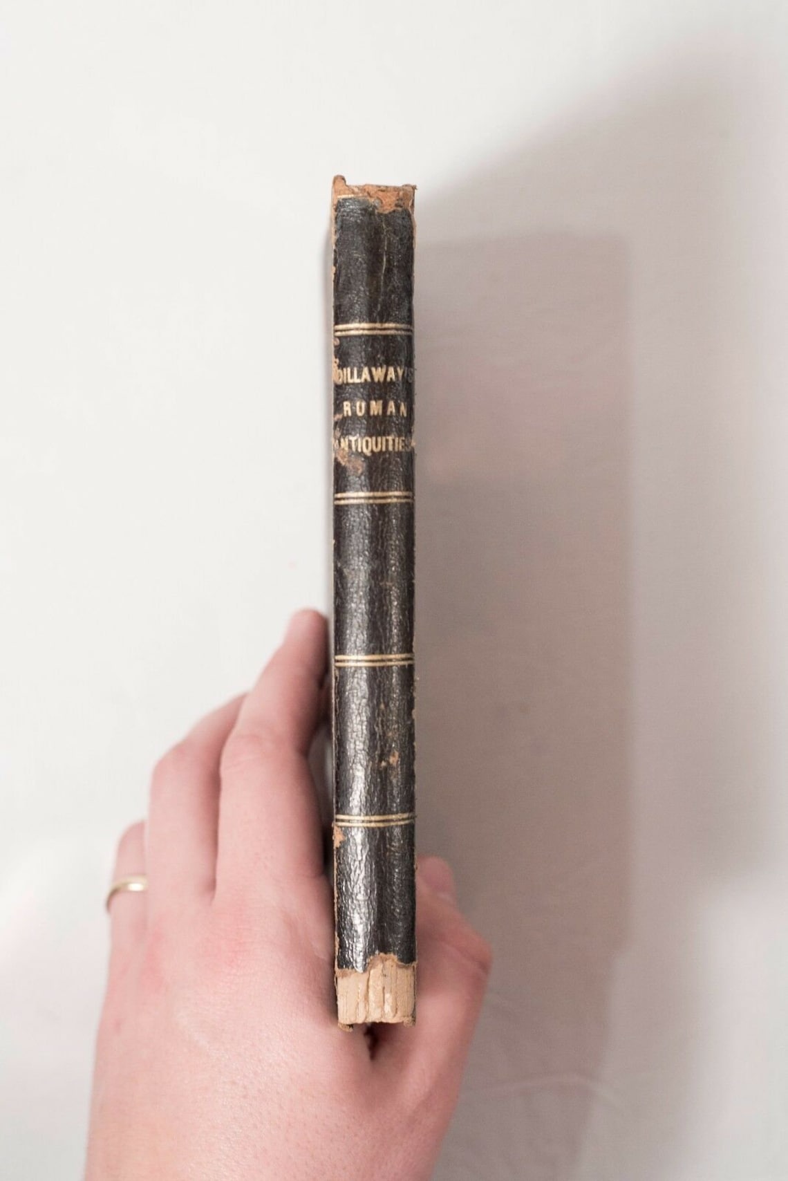 Roman Antiquities and Ancient Myth RARE Antique Book 1854 by | Etsy