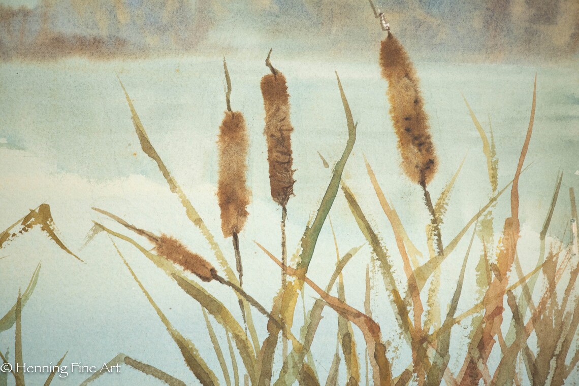 Beautiful Thomas Helzer Watercolor Painting of Cattail Reeds ...