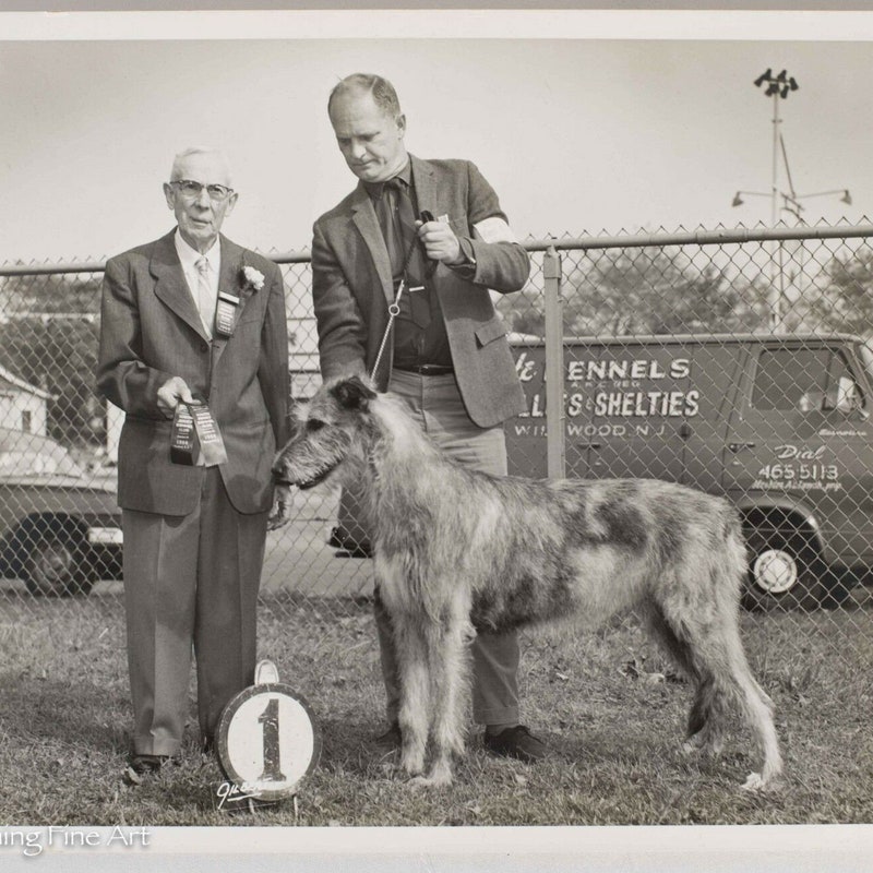 Vintage Dog Photo - Etsy