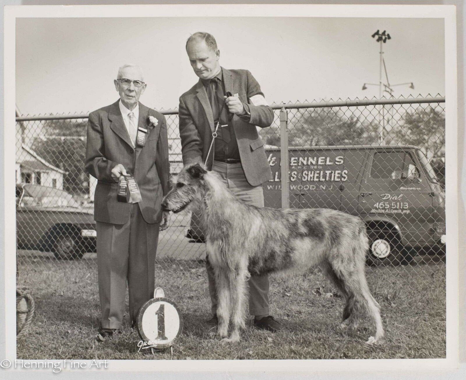 Rare William Gilbert B&W Photo Large Irish Wolfhound Dog Show South ...