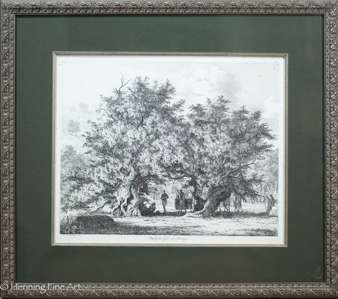 Antique Etching the Great Yew Tree at Foringall, Scotland Joseph Strutt ...