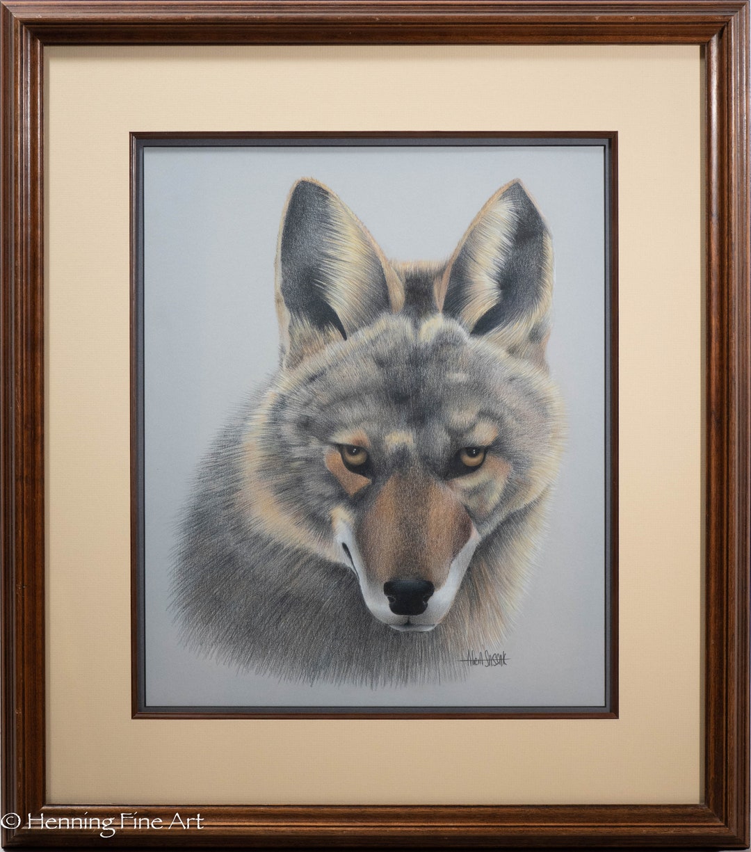 Beautiful Vintage Drawing of Grey Wolf Fine Wildlife Art Signed ...