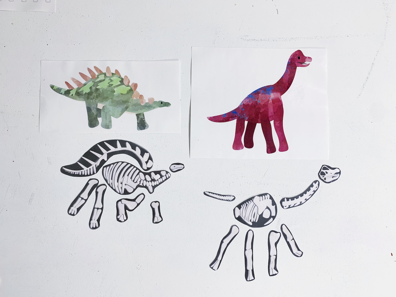 Printable Dinosaur PDF Fossil Dig & Puzzle Match Cards Extended Open ...