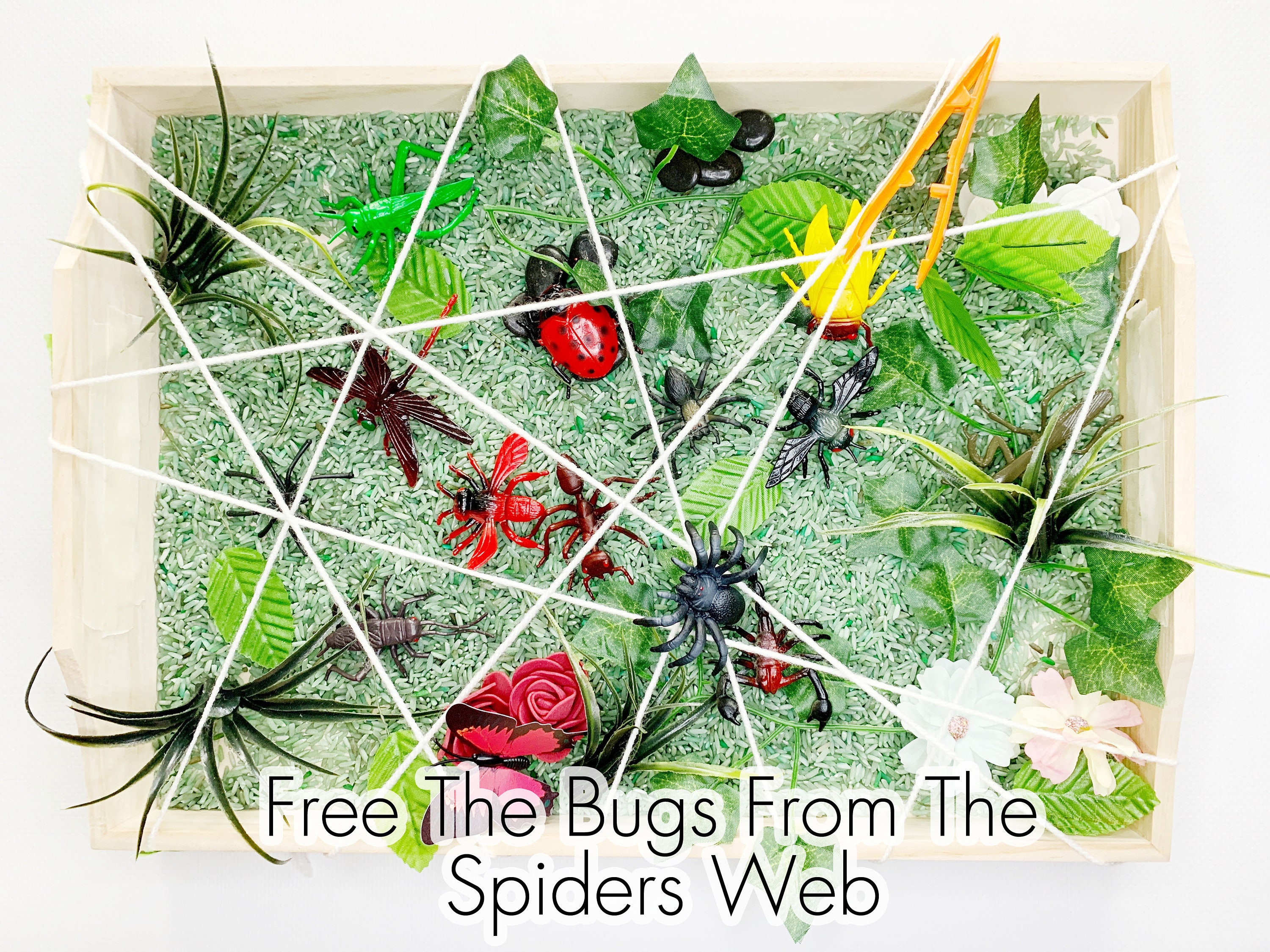 Bug Sensory Bin Accessories With Extended Play Cards and Activities ...