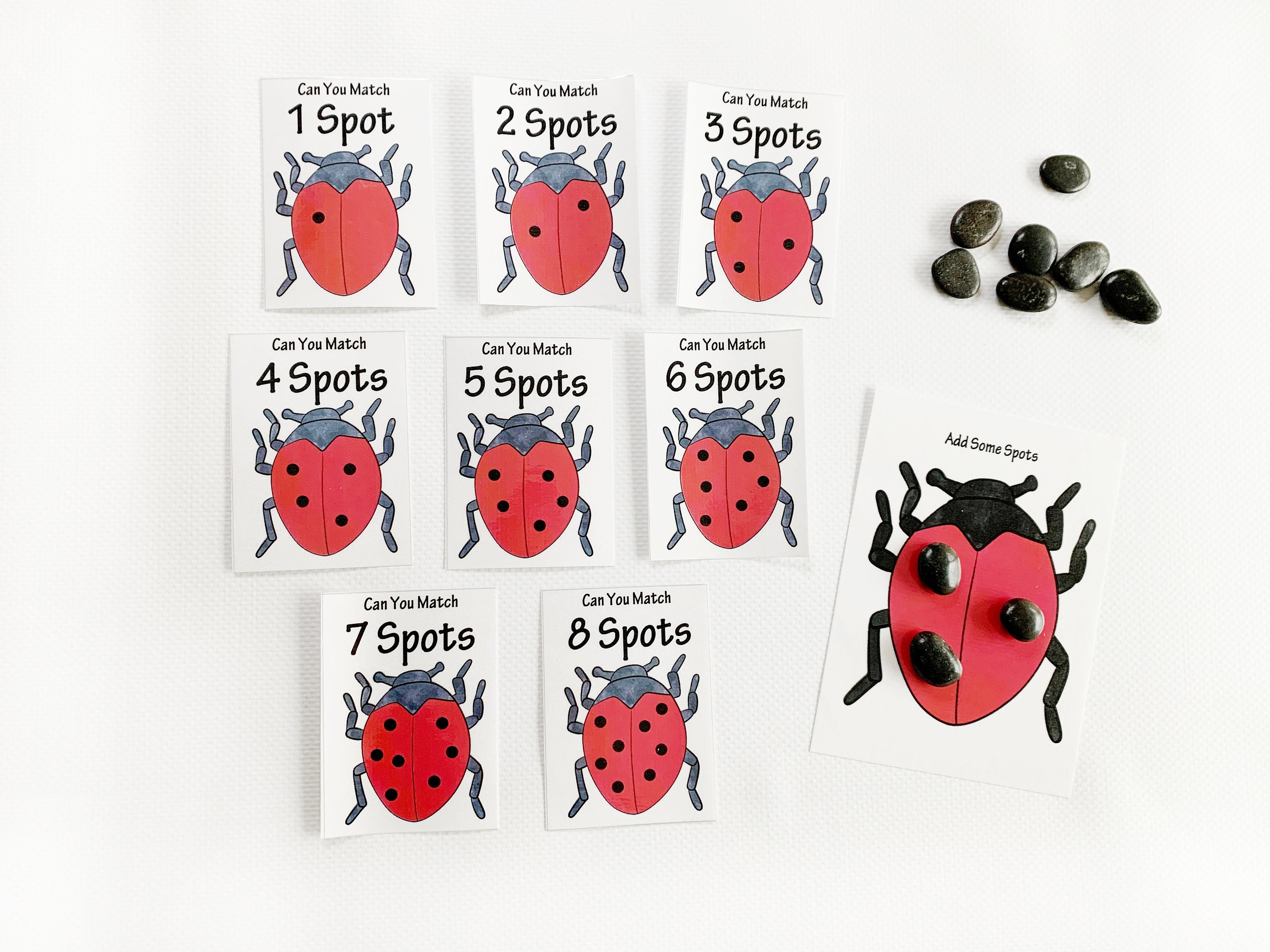 Bug Sensory Bin Accessories With Extended Play Cards and Activities ...