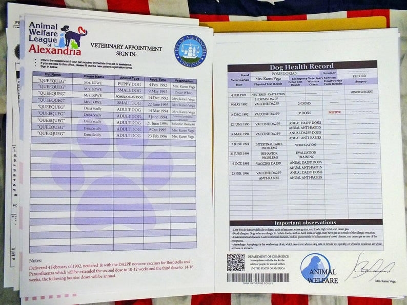 PET Dossier queequeg FBI Dog of X-files owner Dana Scully. - Etsy