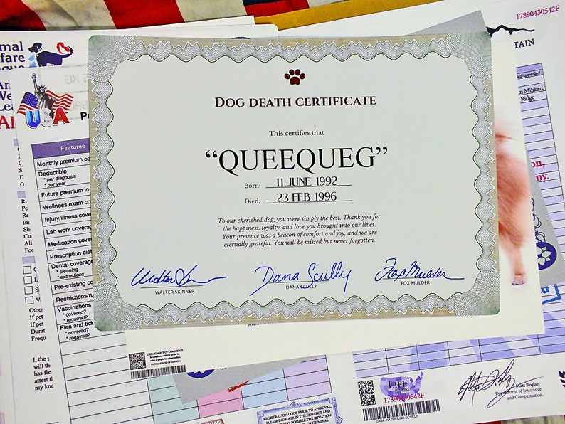 PET Dossier queequeg FBI Dog of X-files owner Dana Scully. - Etsy