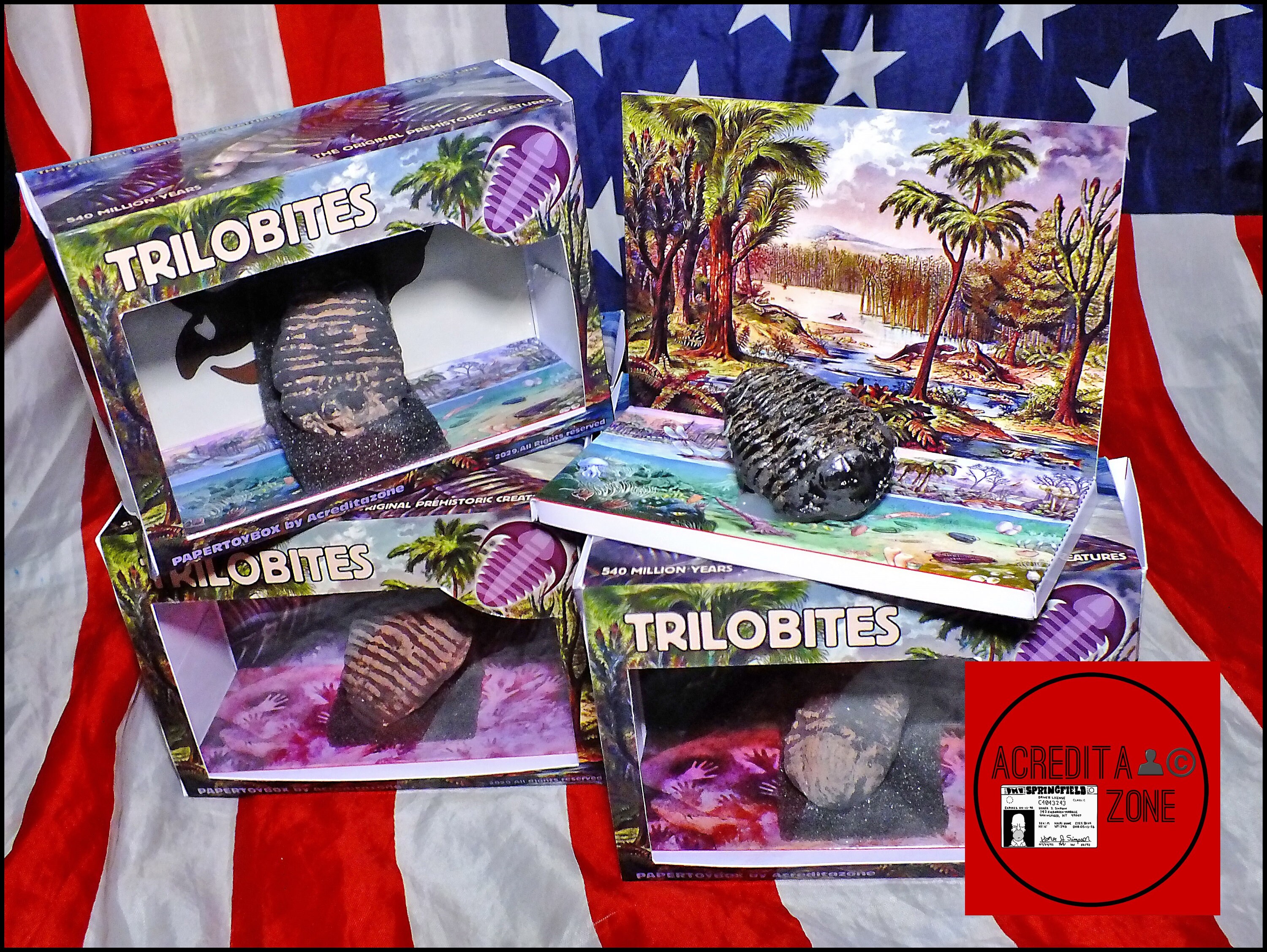TRILOBITE BOX - Etsy