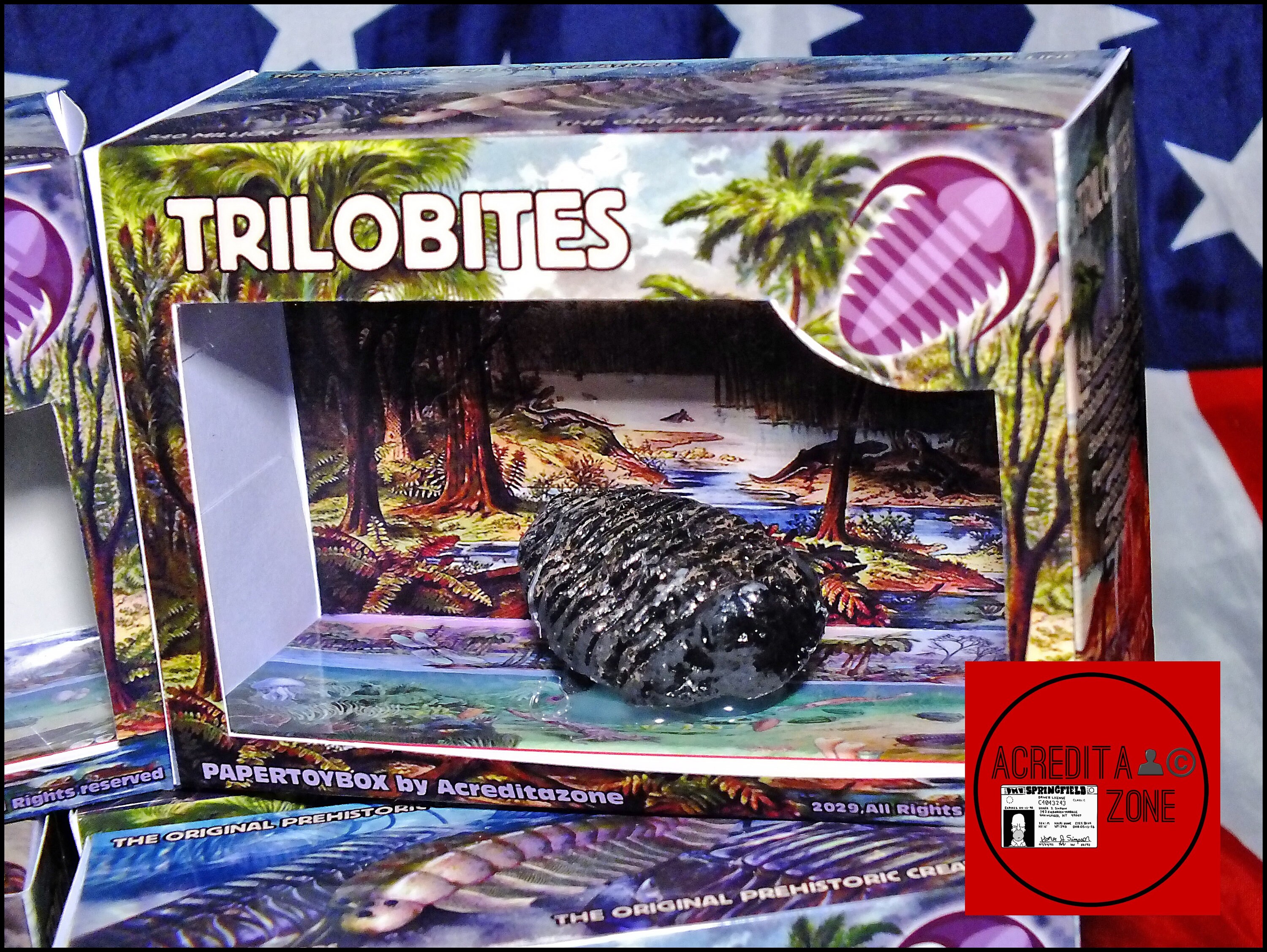 TRILOBITE BOX - Etsy