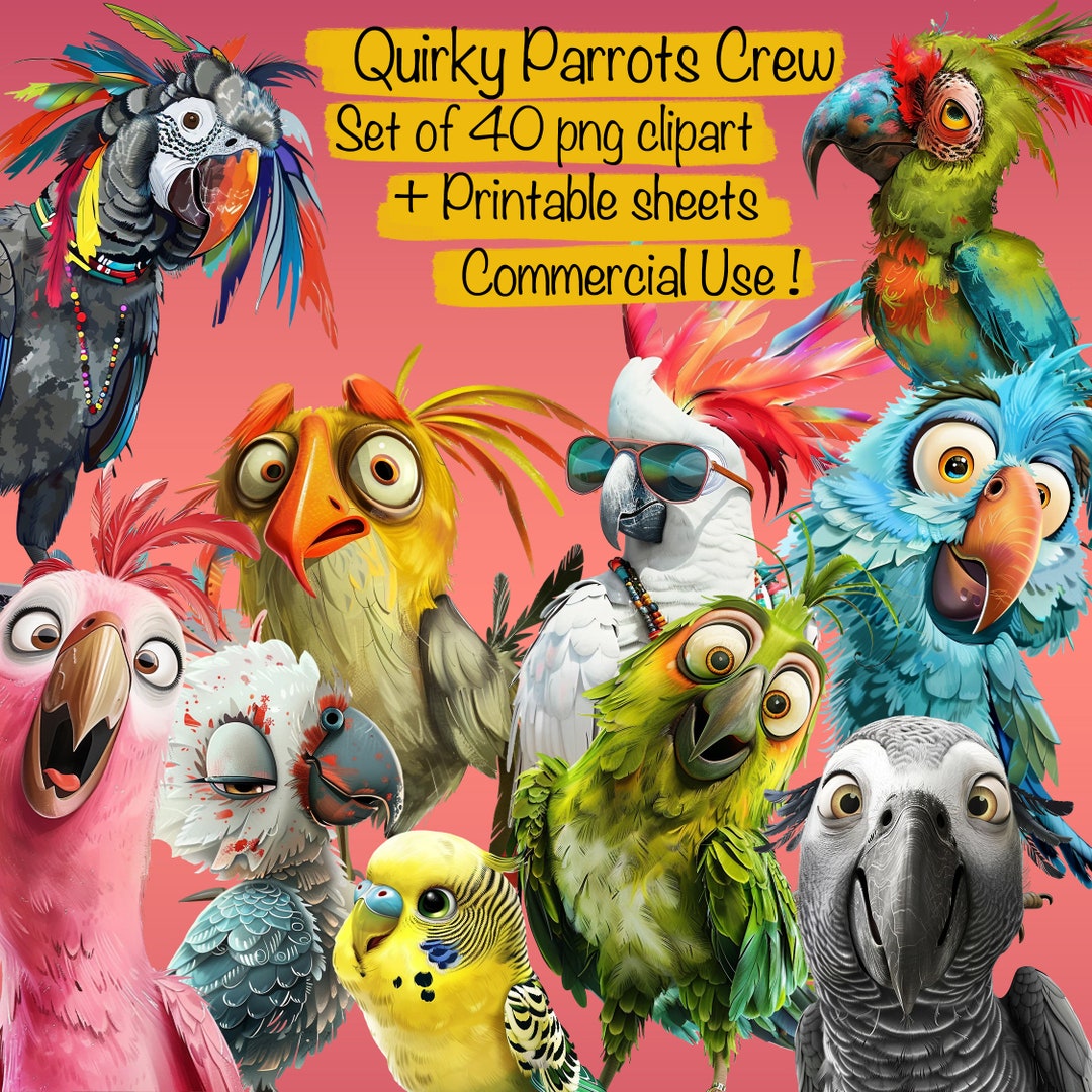 Set of 40 Quirky Funny Parrots Clipart Png + Printable Sheets - for ...