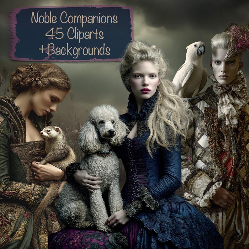 Noble Companions Portraits, 45 PNG + 15 Backgrounds, DIY, Cards, Junk ...