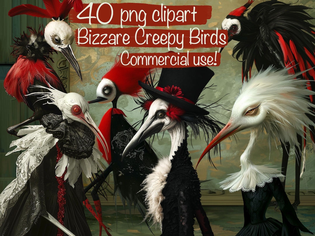 40 Bizarre Surreal Creepy Birds Clipart Png + 15 Backgrounds - for Card ...