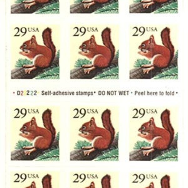 Squirrel Stamp - Etsy