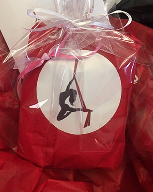 Aerial Lyra Ornament - Cambria - Etsy