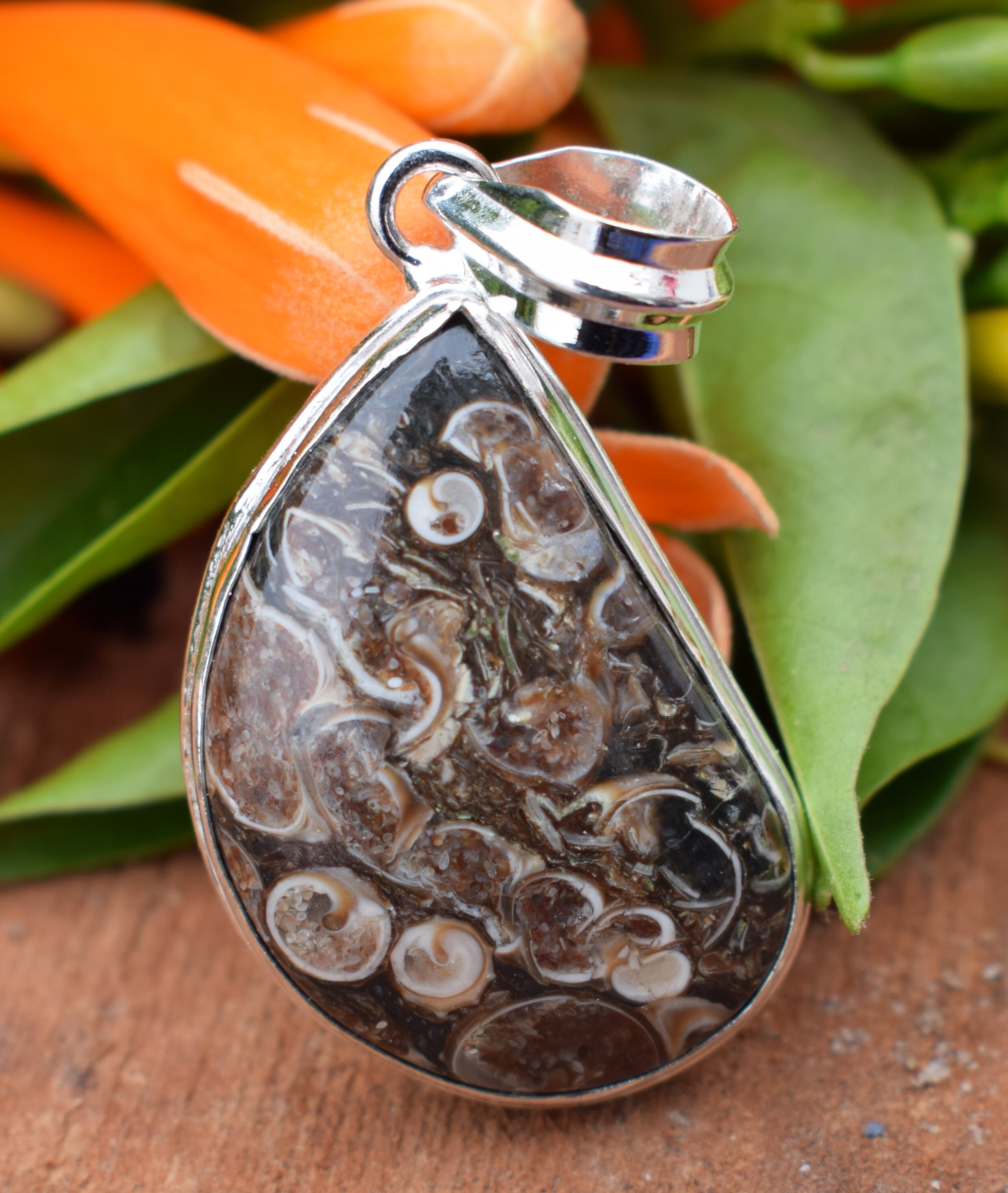 Turtle Agate Pendant Natural Gemstone Pendant Stone | Etsy Turtle Agate Pendant Natural Gemstone Pendant Stone | Etsy