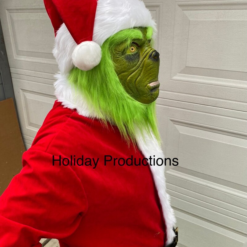 Professional Grinch Costume - Etsy