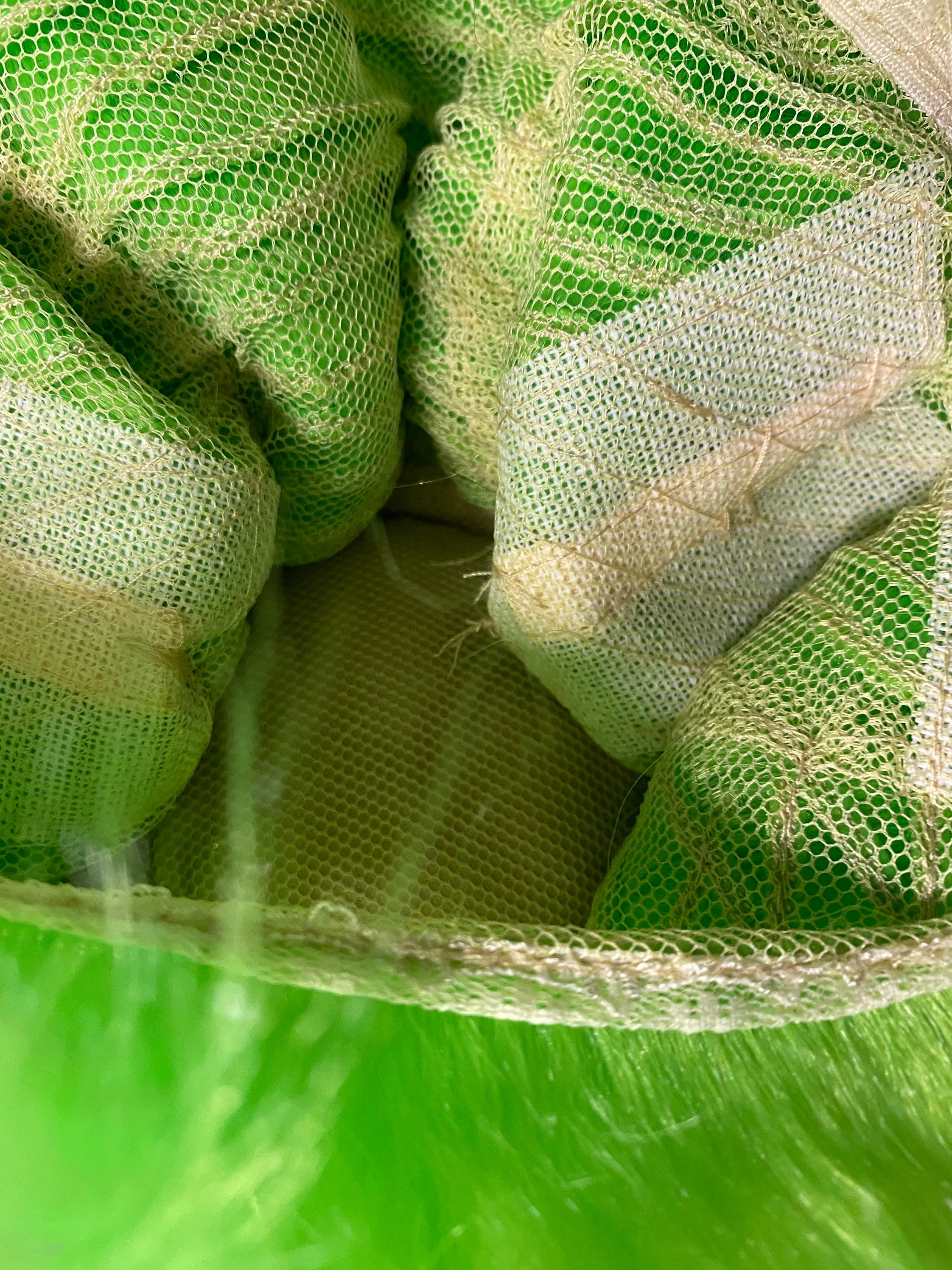 Cindy Lou Who Style Grinch Girl Costume Wig Whoville Adult | Etsy