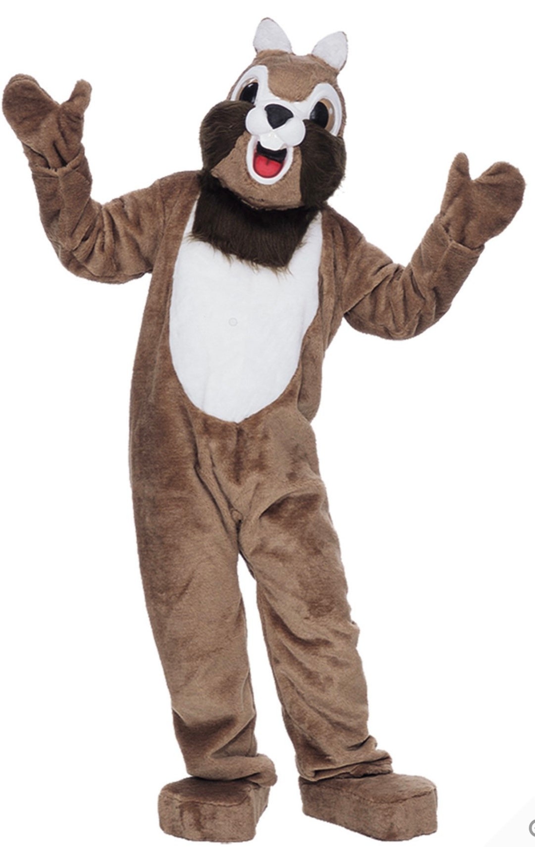 Deluxe Parade Quality Chipmunk Mascot Costume Brand New Free USA ...