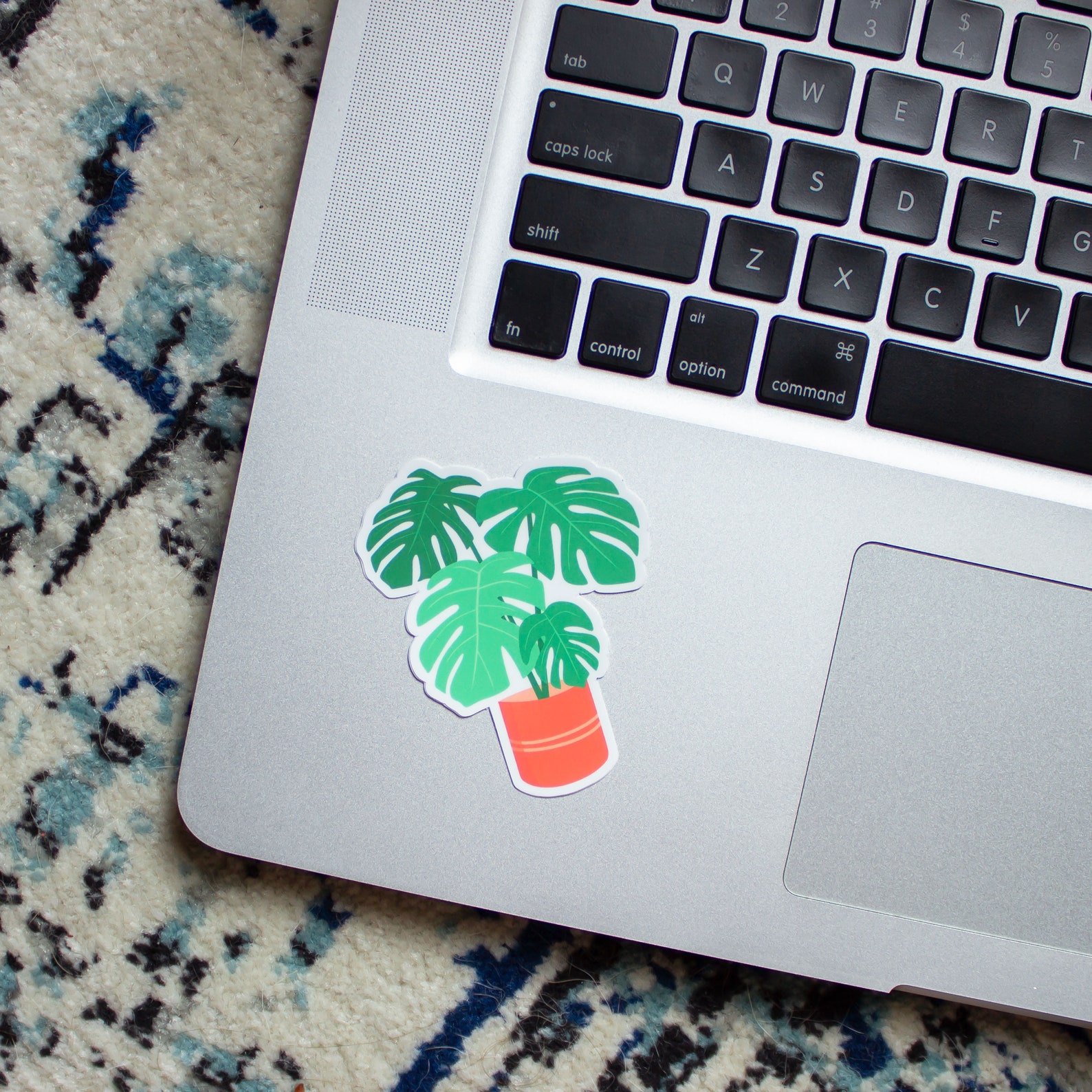 Monstera Plant Sticker / Vinyl Decal / Deliciosa - Etsy