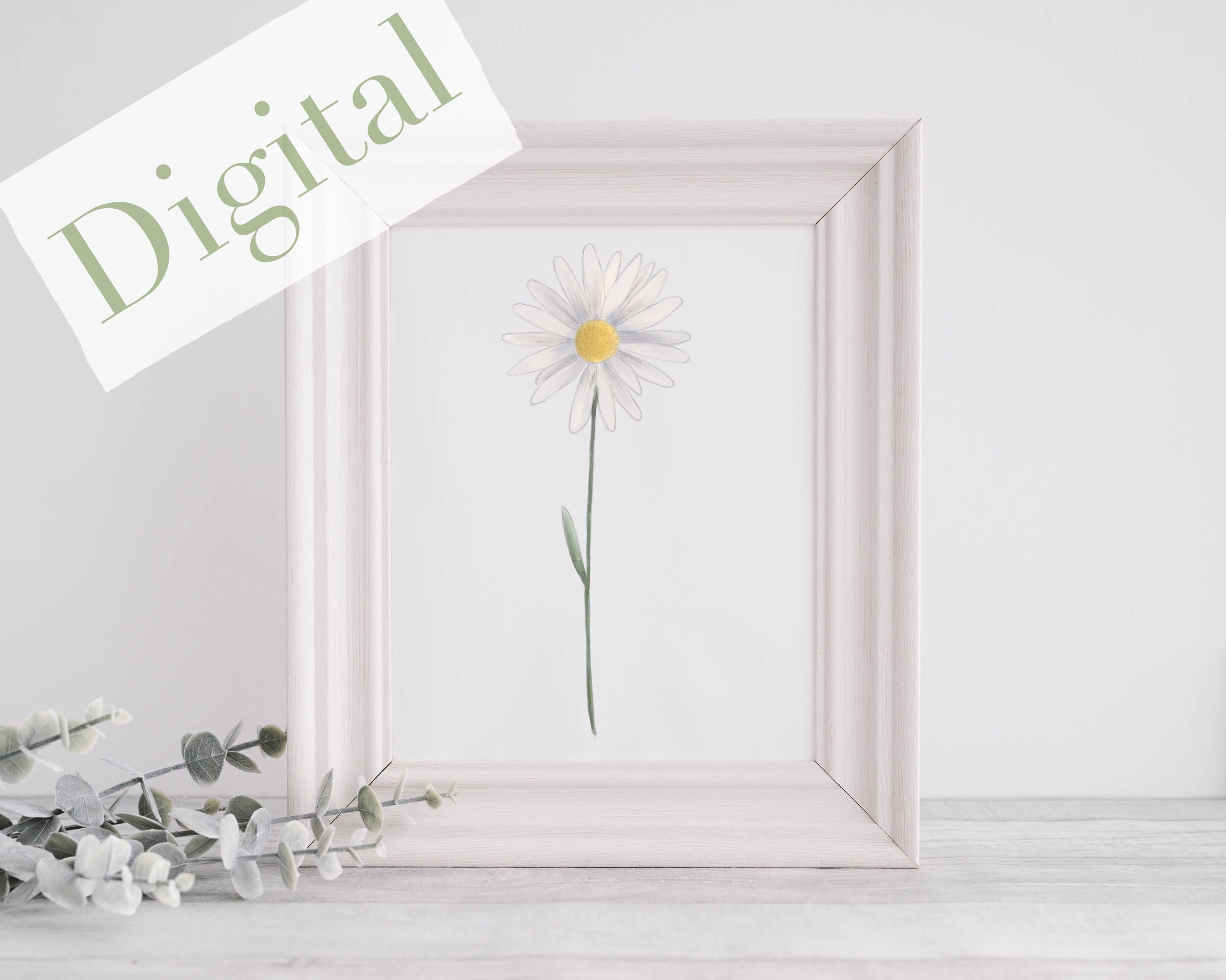 Daisy Flower DIGITAL Art/ Illustration/digital Print/spring Art - Etsy