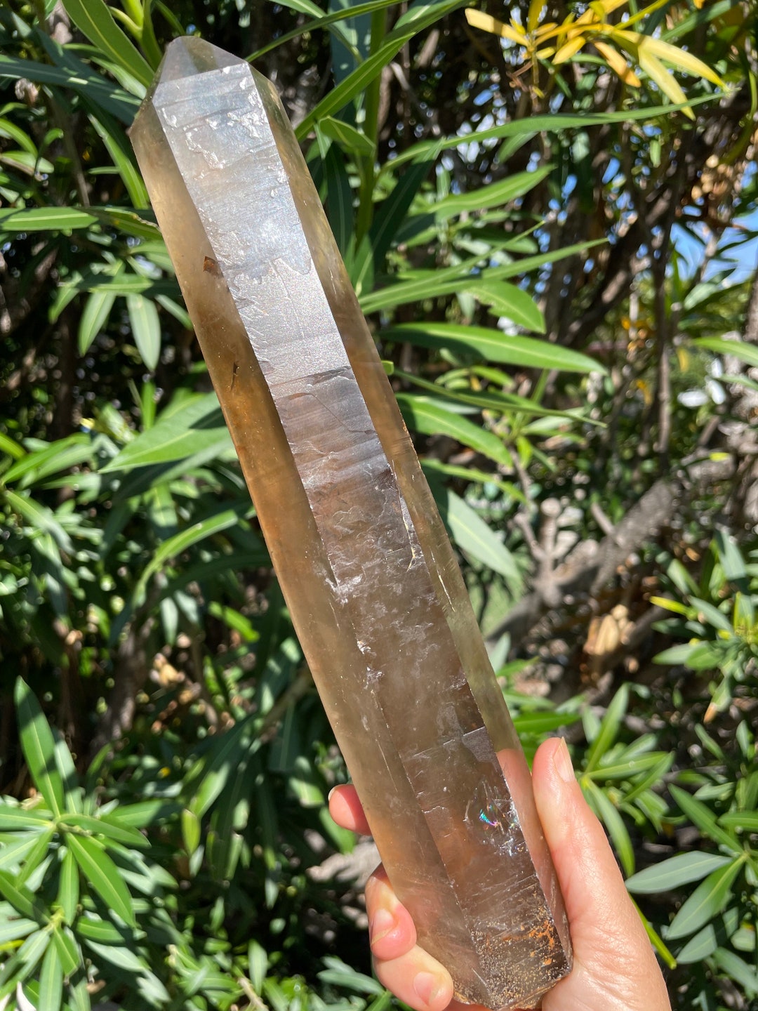 XL Raw Singer Diamantina Smoky Quartz Crystal - Etsy
