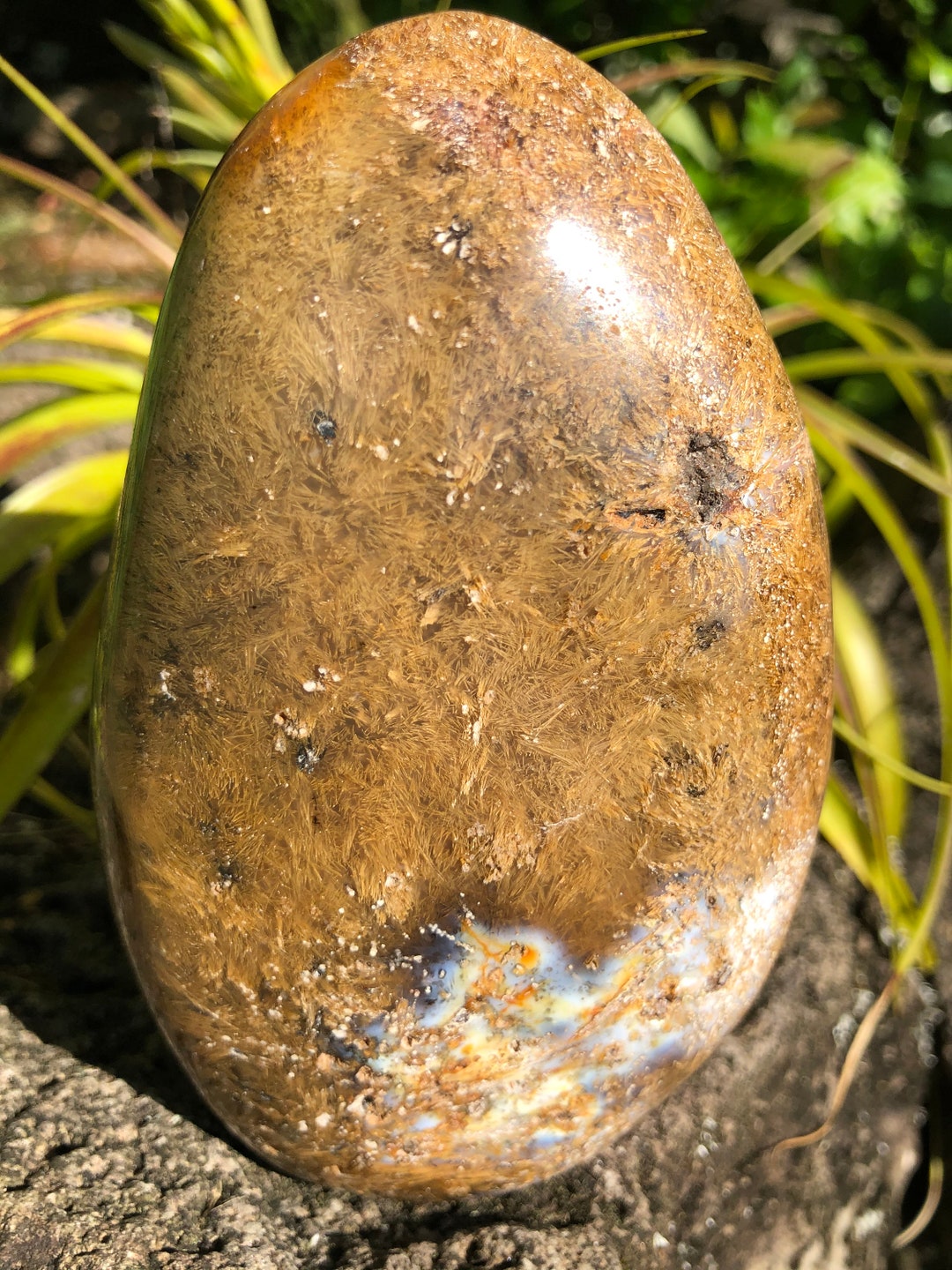 Sagenite Sagenitic Agate Freeform 550 Grams - Etsy