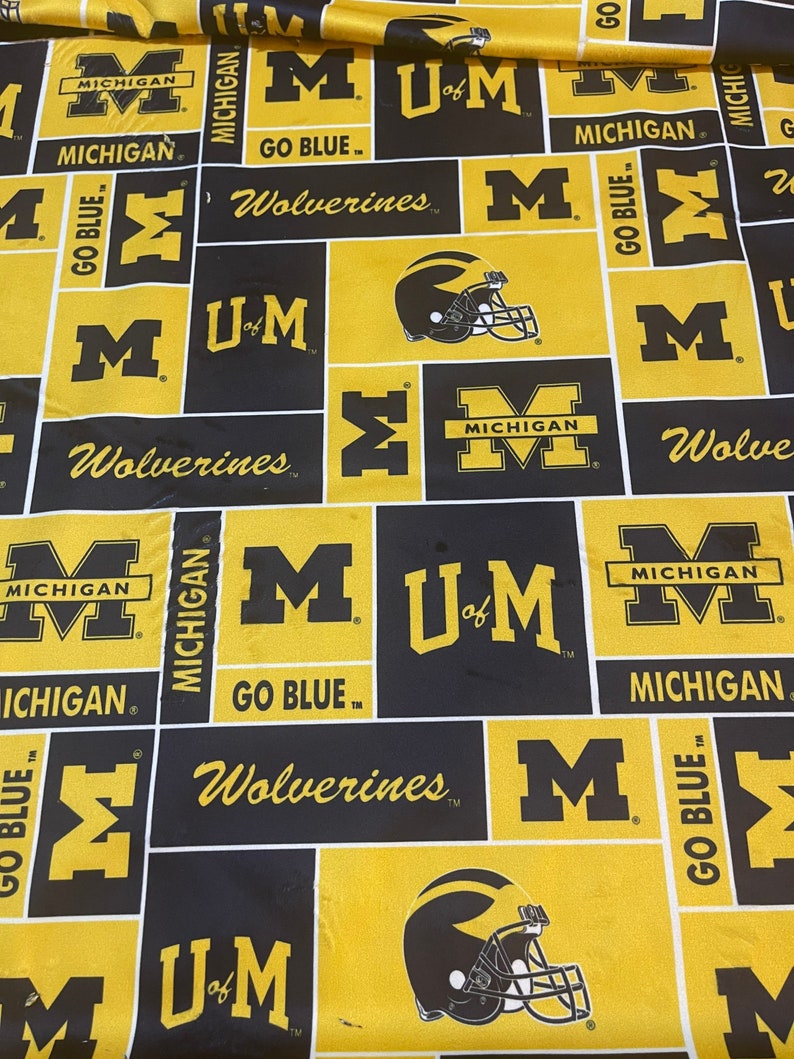 Michigan Wolverines Minky Cuddle Paired With Luxe Minky - Etsy