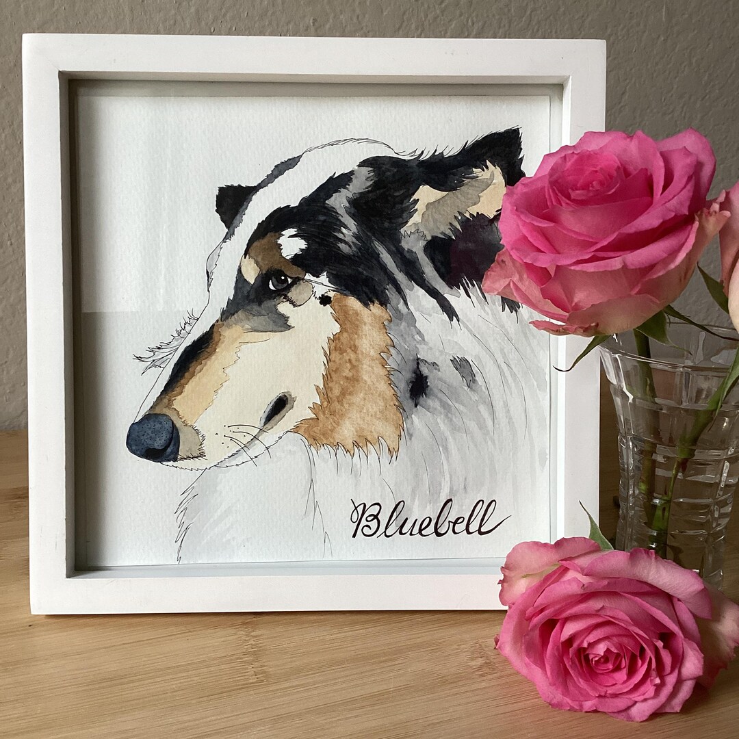Collie Hand Painted Watercolor Dog Portrait: Custom Pet Illustration - Etsy