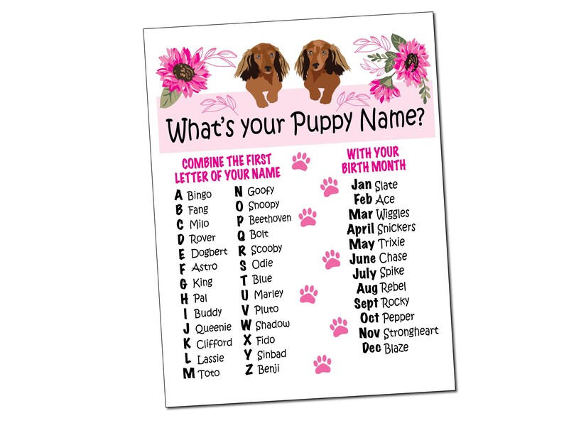 Long Hair Dachshund What is Your Puppy Name Game Name Tags Included ...