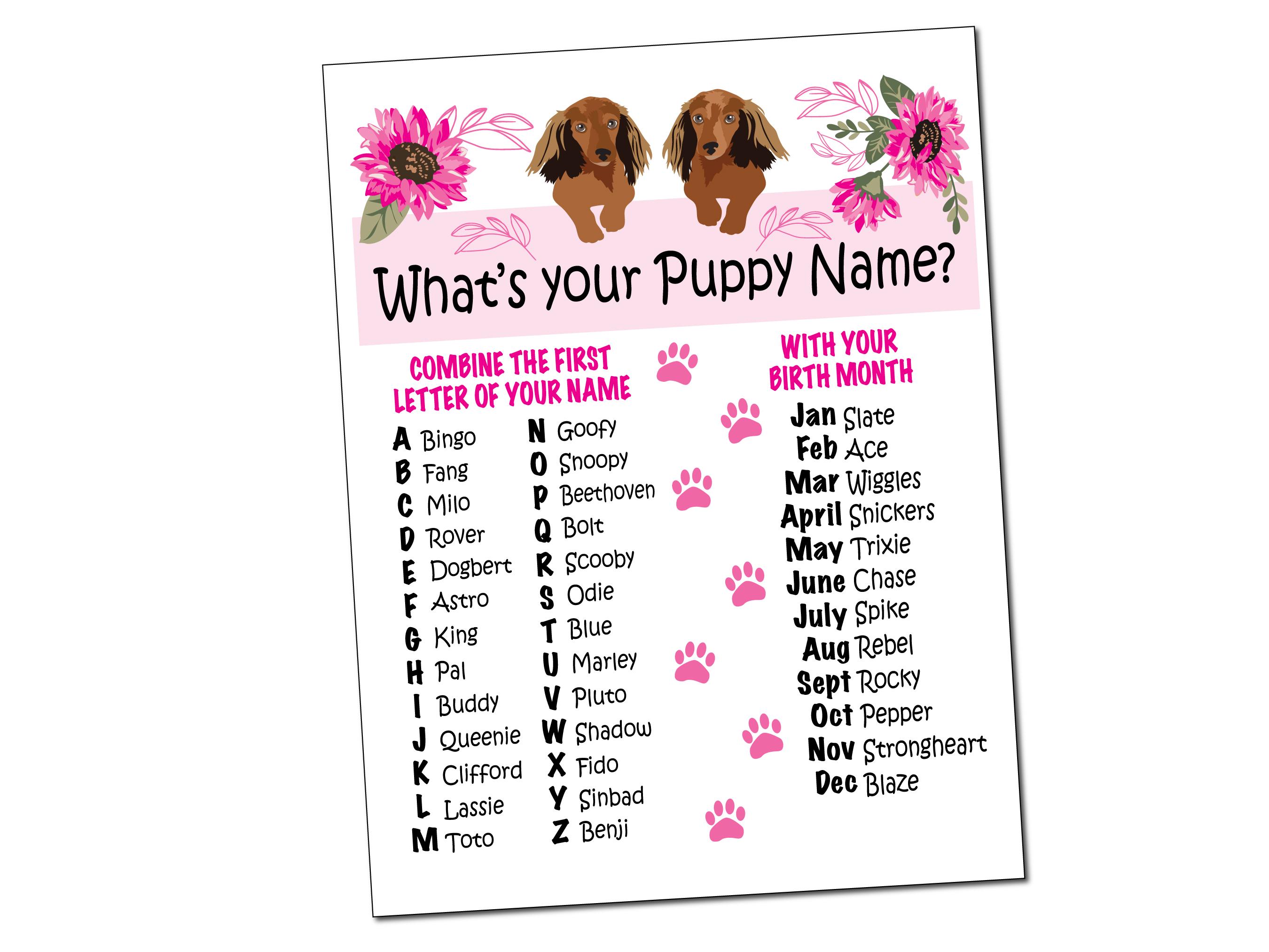 Long Hair Dachshund What is Your Puppy Name Game Name Tags Included ...