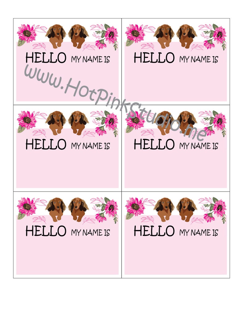 Long Hair Dachshund What is Your Puppy Name Game Name Tags Included ...
