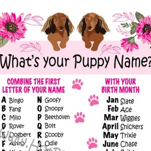 Long Hair Dachshund What is Your Puppy Name Game Name Tags Included ...