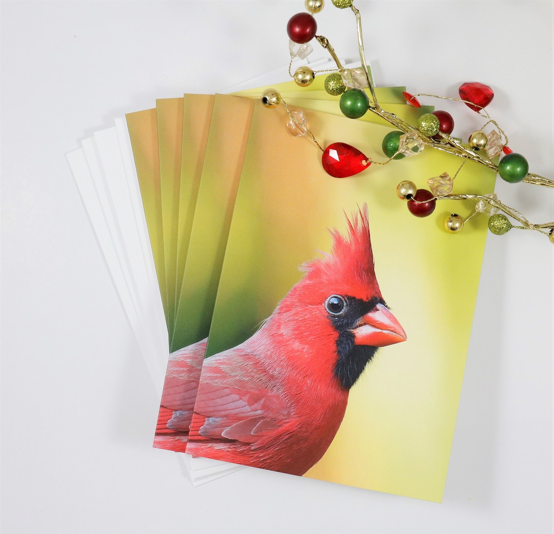 Cardinal Note Cards, Wildlife Christmas Cards, Red Bird Cards, Nature ...