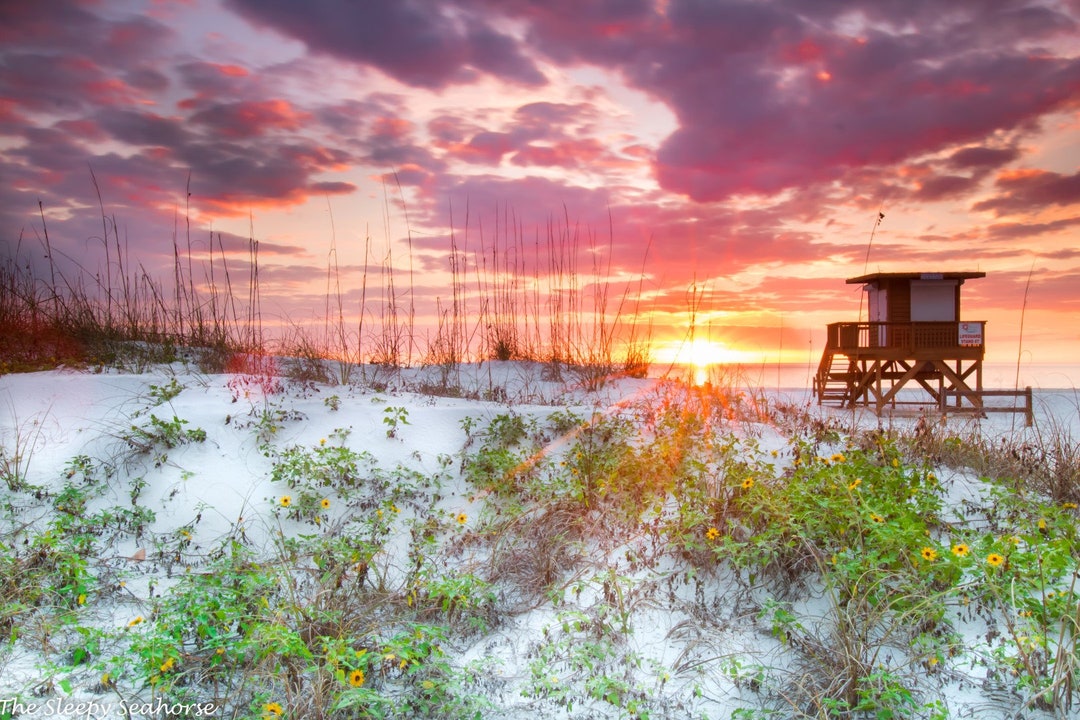 Beach Photography, Gulf Coast Sunset, Beach Decor, Florida Beach Sunset ...