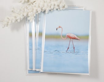 Flamingo Blank Note Cards Set of 8 - Etsy