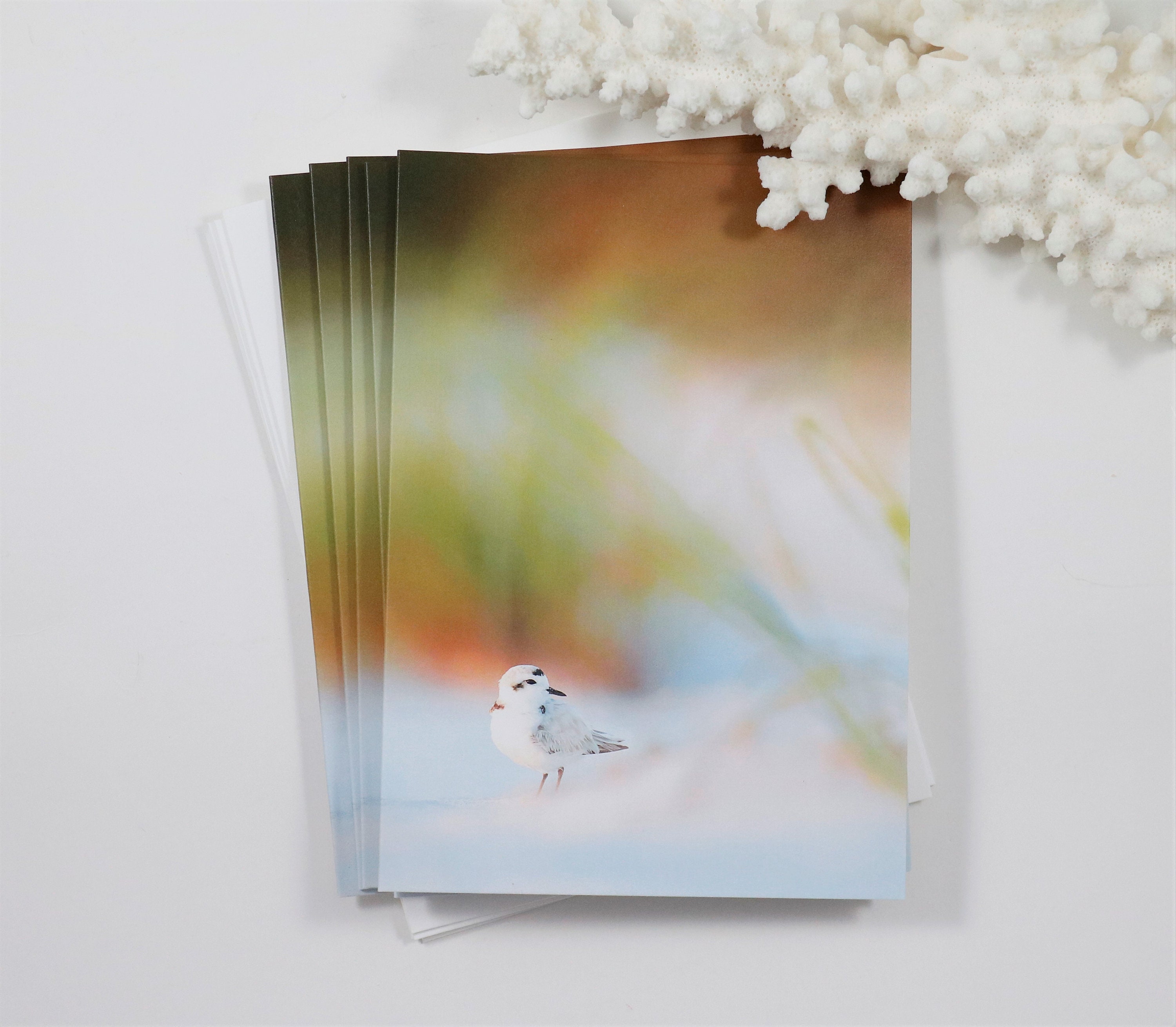 Wall Hangings Home Décor Home & Living Photo Note Card Set Nature ...