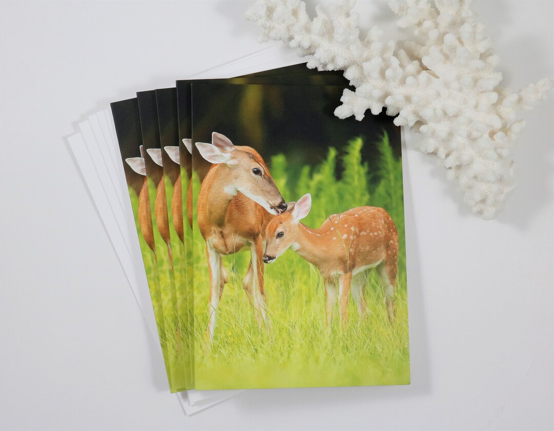 Set of 5 Deer Note Cards, Deer Stationery, Doe and Fawn, Greeting Cards ...