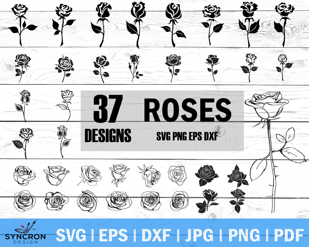 Rose SVG Roses SVG Flower SVG Rose Bundle svg Floral svg - Etsy France