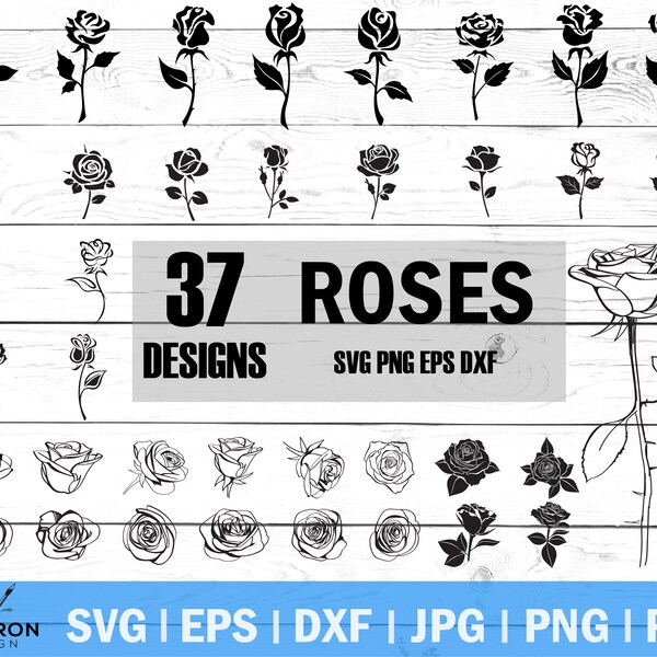 Rose Svg - Etsy