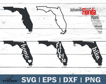 Florida Svg, Florida State Seal Svg, Florida Flag Svg Cut File PNG DXF ...