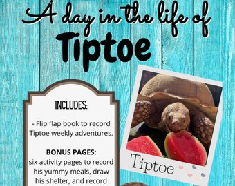 Tiptoe the Tortoise - Etsy