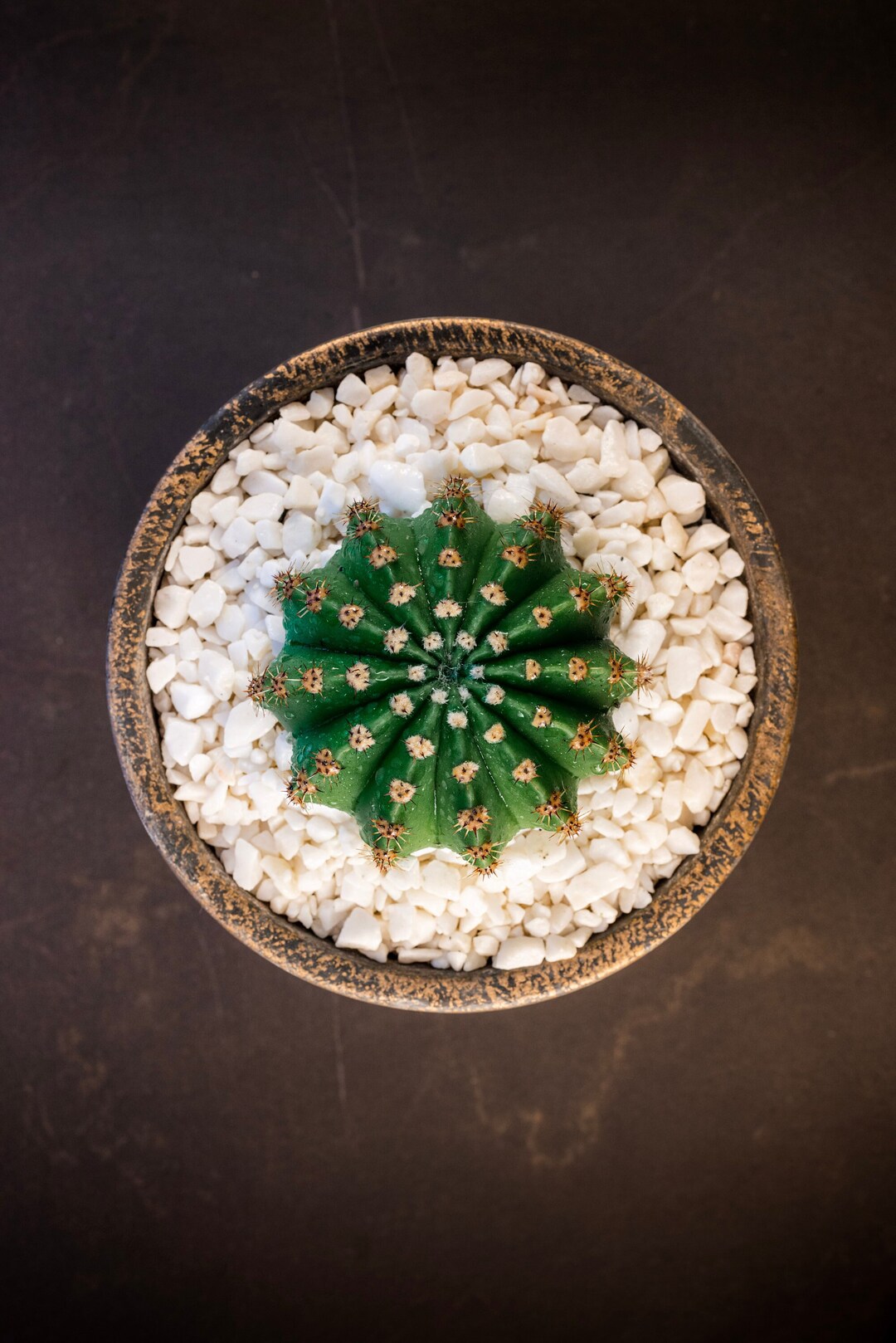 Natural Pebbles Pure White 3-5mm Gravel Grit Plant Pot - Etsy