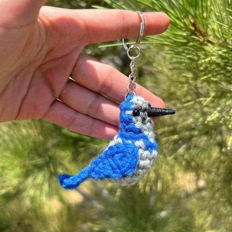 Florida Blue Jays Birds - Etsy