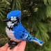 Beautiful Blue Jay Written Crochet Pattern | Realistic Bird Crochet ...