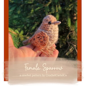Little Female Sparrow Written Crochet Pattern | Realistic Garden Bird ...