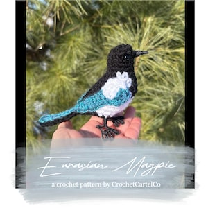 Little Eurasian Magpie Crochet Pattern | Realistic Bird Pattern | Black ...